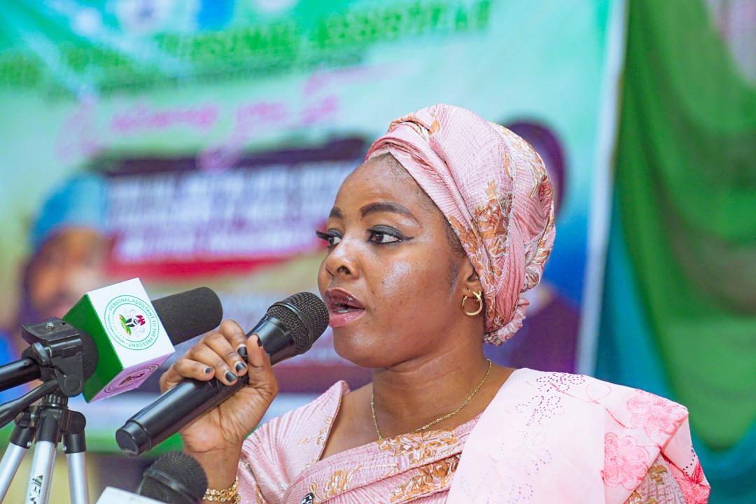 NIGER STATE GOVERNMENT PLANS TO CONTRIBUTE 50 MILLION METRIC TONS OF ...